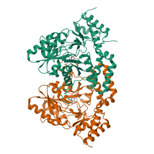 RCSB PDB - 4QGR: Crystal structure of a DegT DnrJ EryC1 StrS ...