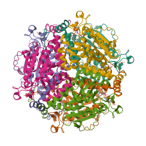 RCSB PDB - 4QIJ: Crystal structure of MenB from Mycobacteria ...