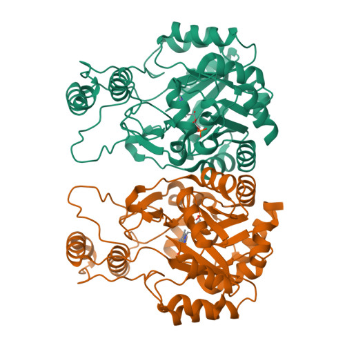 RCSB PDB - 4QIS: Crystal structure of Nitroalkane Oxidase from ...