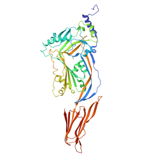 RCSB PDB - 4QQA: Crystal structure of pneumolysin from Streptococcus ...