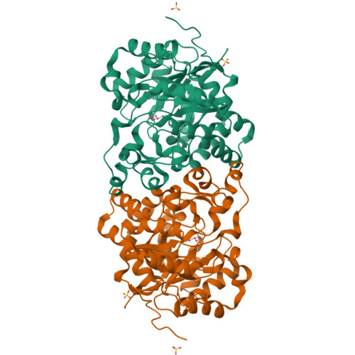 RCSB PDB - 4QSF: CRYSTAL STRUCTURE of AMIDOHYDROLASE PMI1525 (TARGET ...