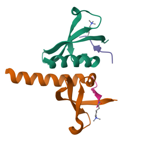 RCSB PDB - 4QUF: crystal structure of chromodomain of Rhino with H3K9me3
