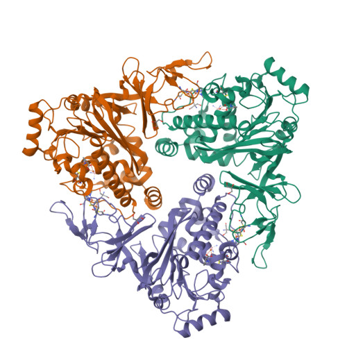 RCSB PDB - 4QUP: Crystal structure of stachydrine demethylase with N ...