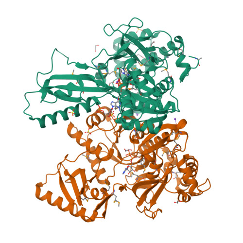 RCSB PDB - 4R1L: Crystal structure of a Putative Acyl-CoA ligase (BT ...