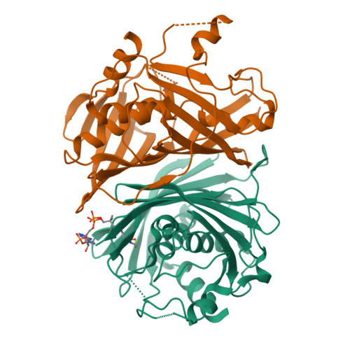 RCSB PDB - 4R4U: Crystal structure of acyl-CoA thioesterase tesB from ...
