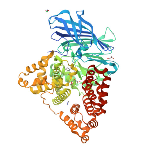 RCSB PDB - 4R7L: Structure of Human Leukotriene A4 Hydrolase in complex ...