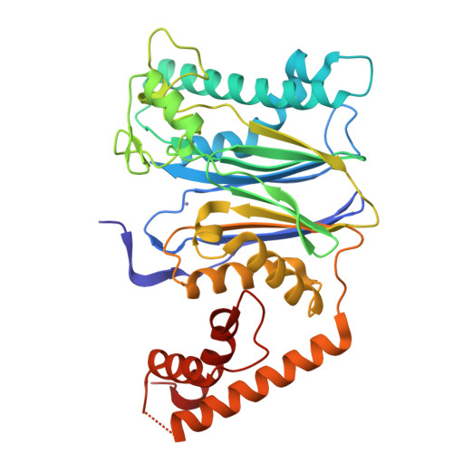 RCSB PDB - 4RAG: CRYSTAL STRUCTURE of PPC2A-D38K