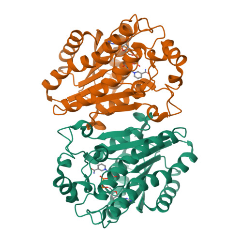 RCSB PDB - 4RGB: Crystal structure of a putative carveol dehydrogenase ...