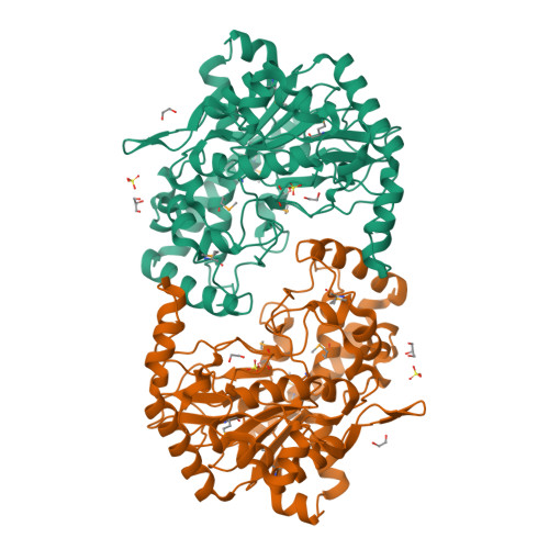 RCSB PDB - 4RGK: Crystal Structure of Putative Phytanoyl-CoA ...