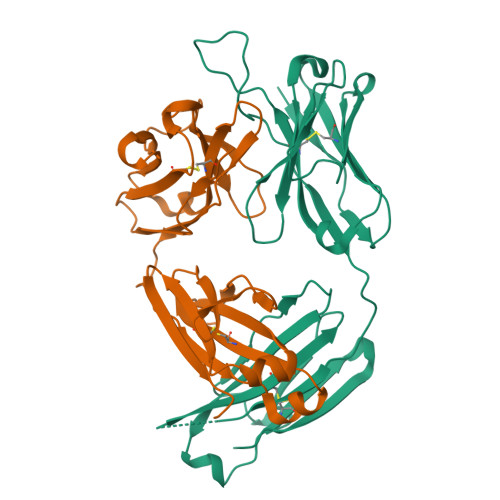 RCSB PDB - 4RIR: Structural Analysis of the Unmutated Ancestor of the ...