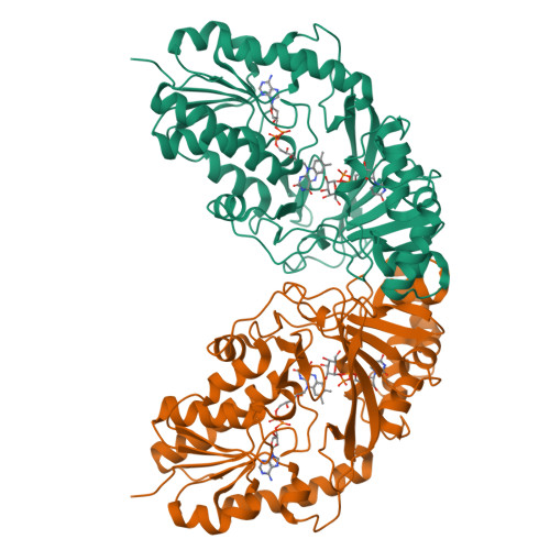 RCSB PDB - 4RPH: Crystal structure of Micobacterium tuberculosis UDP ...