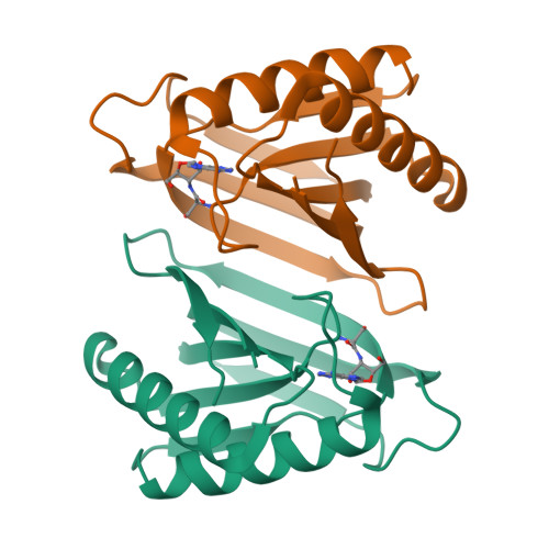 RCSB PDB - 4RRL: E129A mutant of N-terminal editing domain of threonyl ...