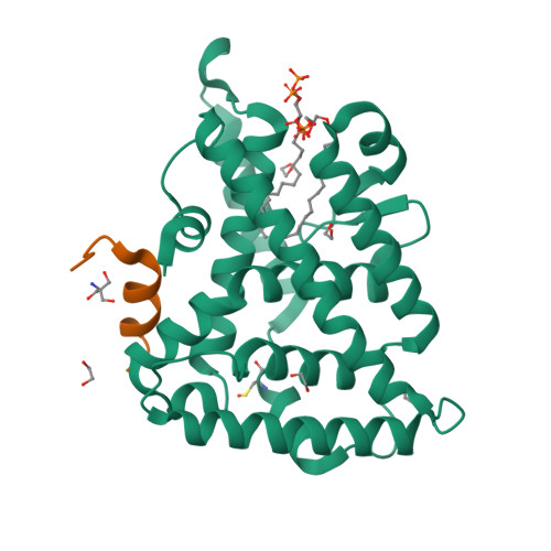 RCSB PDB - 4RWV: Crystal structure of PIP3 bound human nuclear receptor ...