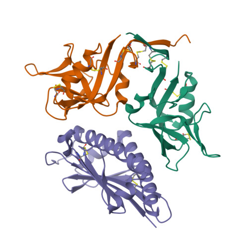 RCSB PDB - 4S0U: Crystal structure of NKG2D in complex with ULBP6