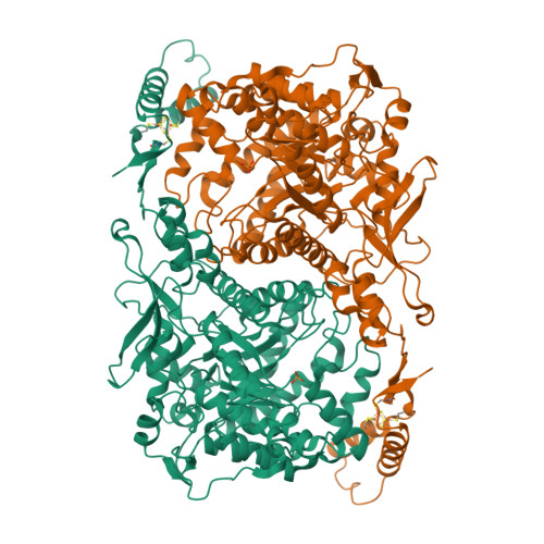 RCSB PDB - 4S2A: Crystal structure of Caulobacter crescentus ThiC with ...