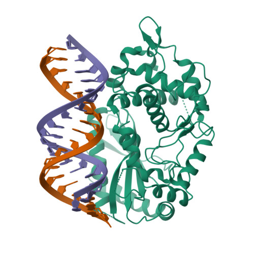 RCSB PDB - 4S3N: Crystal structure of human OAS3 domain I in complex ...