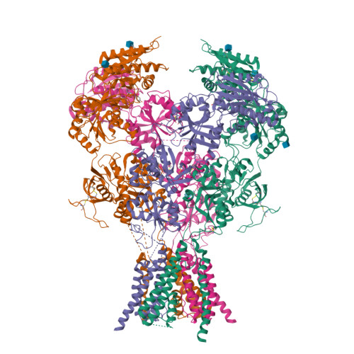 RCSB PDB - 4TLM: Crystal structure of GluN1/GluN2B NMDA receptor ...
