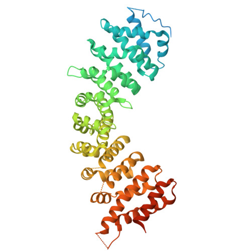RCSB PDB - 4TNM: Crystal structure of Arabidopsis importin-alpha3 ...
