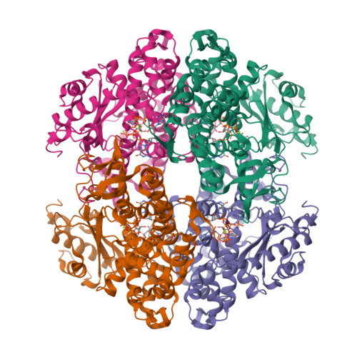 RCSB PDB - 4TO2: Structure basis of cellular dNTP regulation, SAMHD1 ...