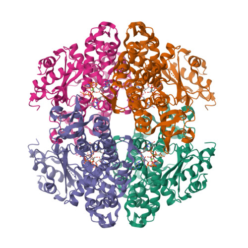 RCSB PDB - 4TO5: Structure basis of cellular dNTP regulation, SAMHD1 ...