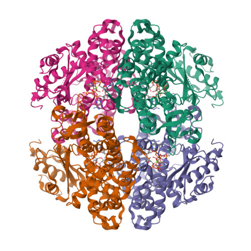 RCSB PDB - 4TO6: Structure basis of cellular dNTP regulation, SAMHD1 ...