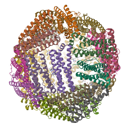 RCSB PDB - 4TOB: 1.95A resolution structure of BfrB (Q151L) from ...
