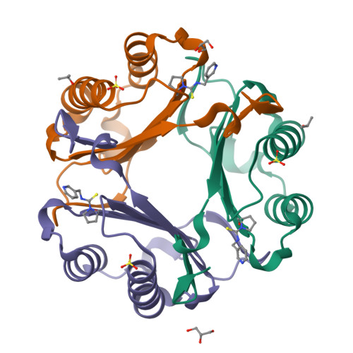 RCSB PDB - 4TRF: Crystal structure of Macrophage Migration Inhibitory ...
