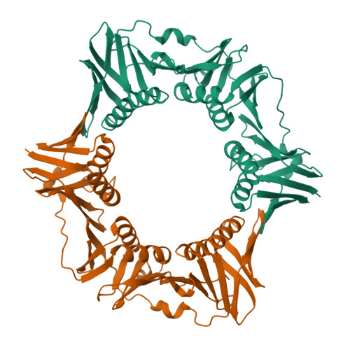 RCSB PDB - 4TRT: Deinococcus radiodurans DNA polymerase III subunit beta