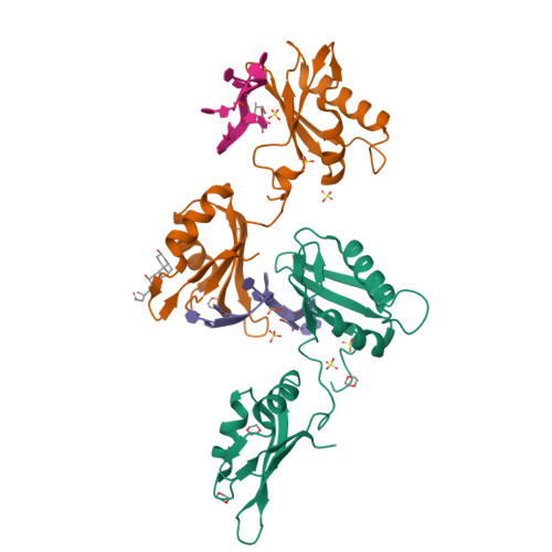 RCSB PDB - 4TU9: STRUCTURE OF U2AF65 VARIANT WITH BRU5G6 DNA