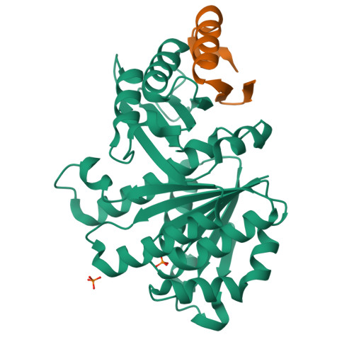RCSB PDB - 4U39: Crystal Structure of FtsZ:MciZ Complex from Bacillus ...