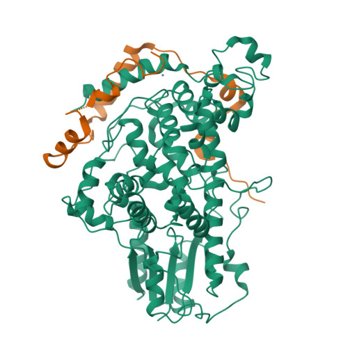 RCSB PDB - 4U8H: Crystal Structure of Mammalian Period-Cryptochrome Complex