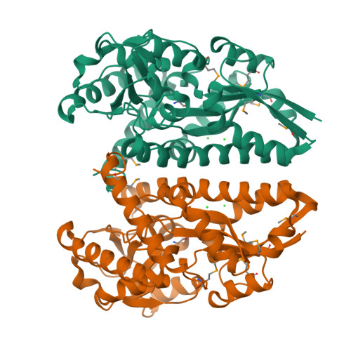 RCSB PDB - 4UAB: Crystal structure of a TRAP periplasmic solute binding ...