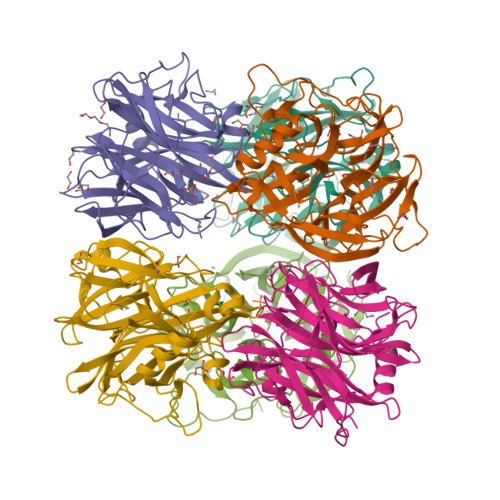 RCSB PDB - 4UDI: Crystal structure of b-1,4-mannopyranosyl-chitobiose ...