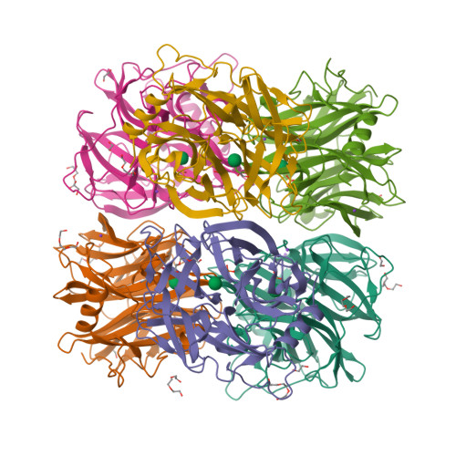 RCSB PDB - 4UDJ: Crystal structure of b-1,4-mannopyranosyl-chitobiose ...