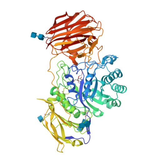 RCSB PDB - 4UFH: Mouse Galactocerebrosidase complexed with iso-galacto ...