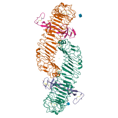 RCSB PDB - 4UFR: Structure of the ectodomain of LGR5 in complex with R ...
