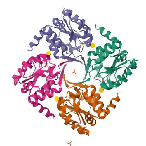 RCSB PDB - 4UMF: Crystal structure of 3-deoxy-D-manno-octulosonate 8 ...