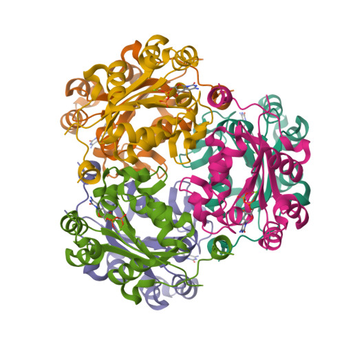 RCSB PDB - 4UOG: Crystallographic structure of nucleoside diphosphate ...