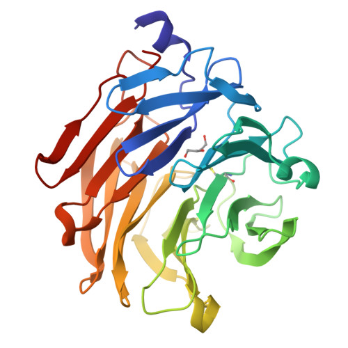RCSB PDB - 4UOU: Crystal Structure of Fucose binding lectin from ...
