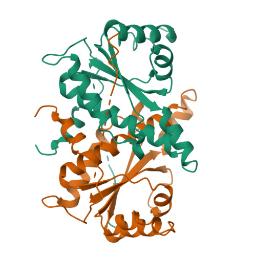 RCSB PDB - 4URP: The Crystal structure of Nitroreductase from ...