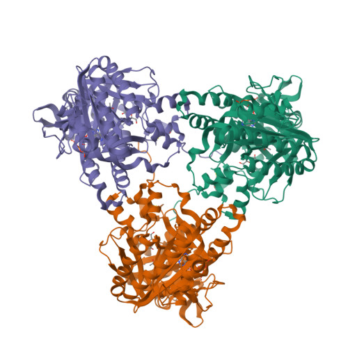 RCSB PDB - 4USW: Crystal structure of human soluble Adenylyl Cyclase ...