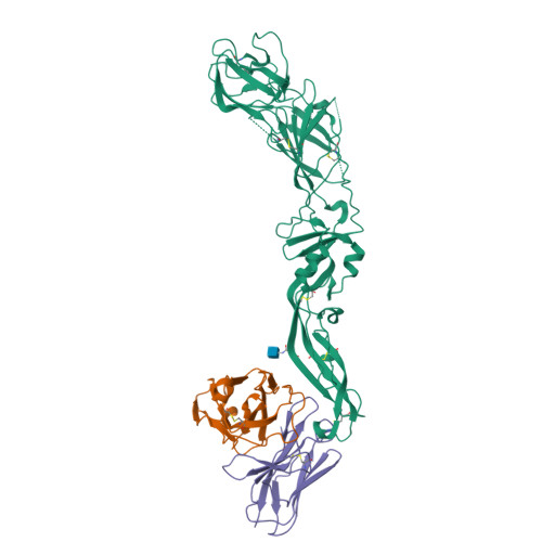 RCSB PDB - 4UT9: Crystal structure of dengue 2 virus envelope ...
