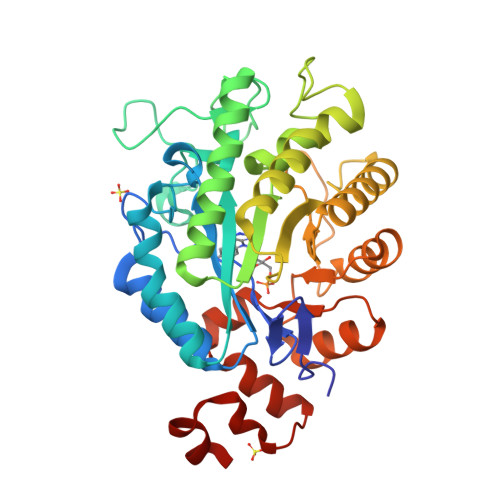 RCSB PDB - 4UTH: XenA - oxidized - Y183F variant