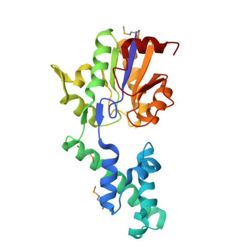 RCSB PDB - 4UW9: The crystal structural of archaeal beta ...