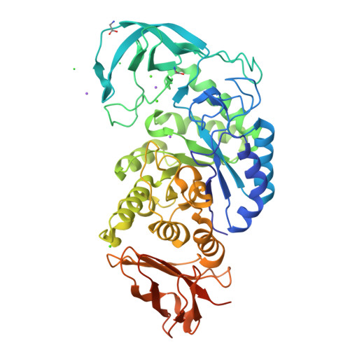 RCSB PDB - 4UZU: Three-dimensional structure of a variant `Termamyl ...