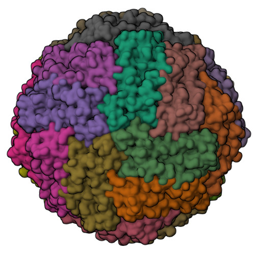 RCSB PDB - 4V1W: 3D structure of horse spleen apoferritin determined by ...