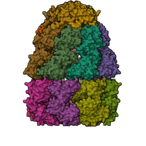RCSB PDB - 4V4O: Crystal Structure of the Chaperonin Complex Cpn60 ...