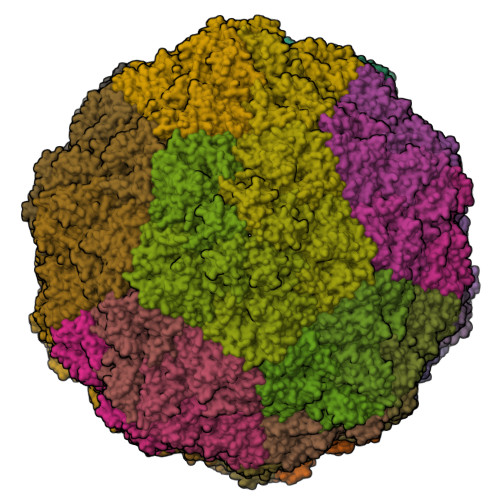 RCSB PDB - 4V5T: X-ray structure of the Grapevine Fanleaf virus