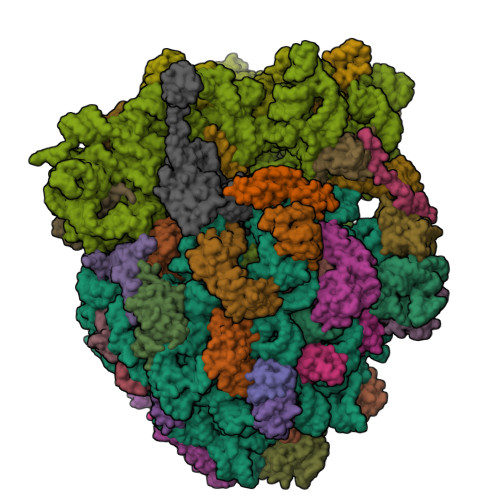 RCSB PDB - 4W2E: Crystal structure of Elongation Factor 4 (EF4/LepA ...