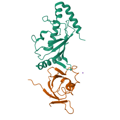 RCSB PDB - 4W5V: Crystal structure of Human SUMO E2-conjugating enzyme ...